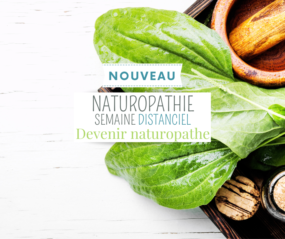 Naturopathie semaine distanciel - Institut Hildegardien